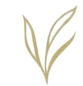 Refined Vein Aesthetics — Sclerotherapy in Colleyville, TX